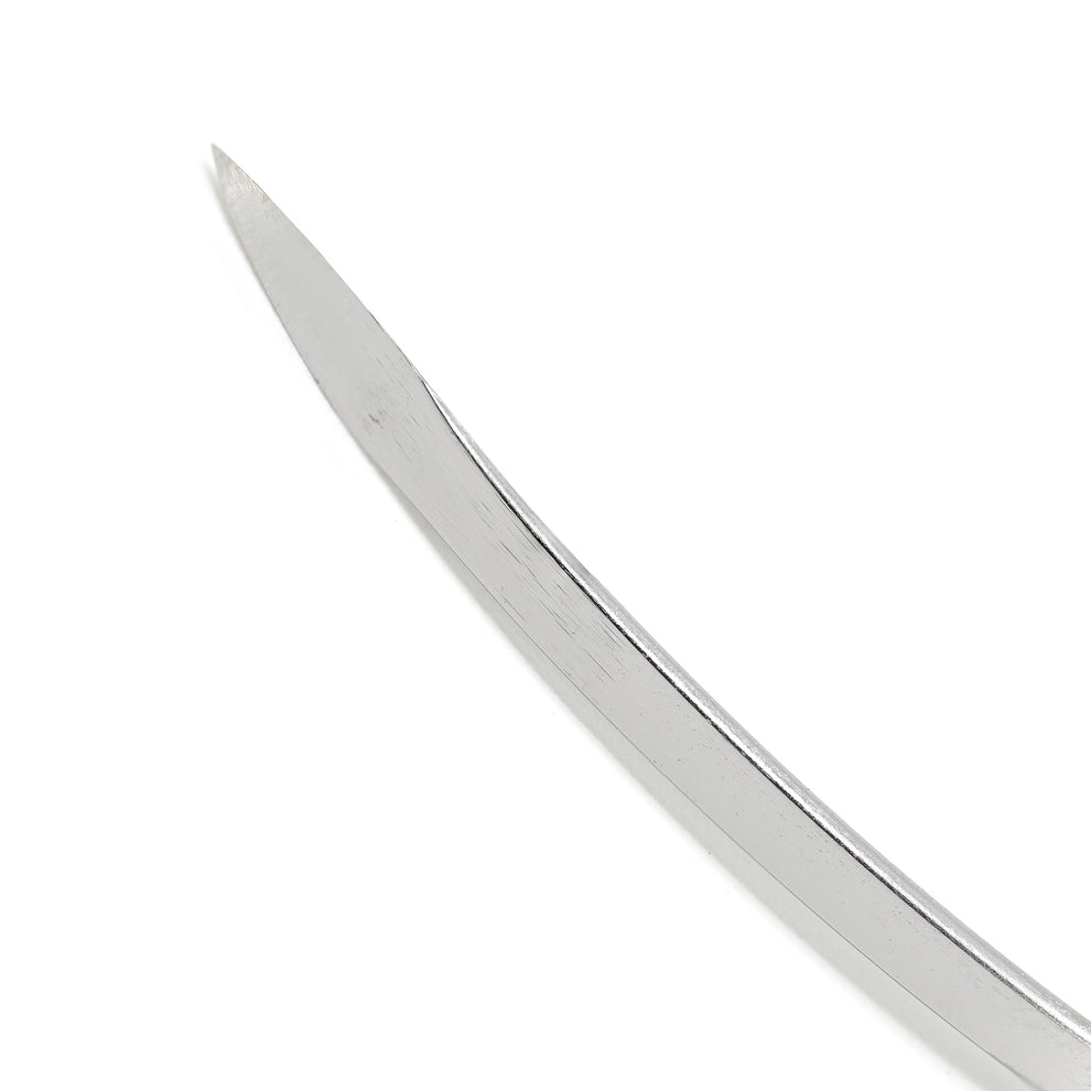 Autopsy Needles | LDI Medical Deathcare Supplies